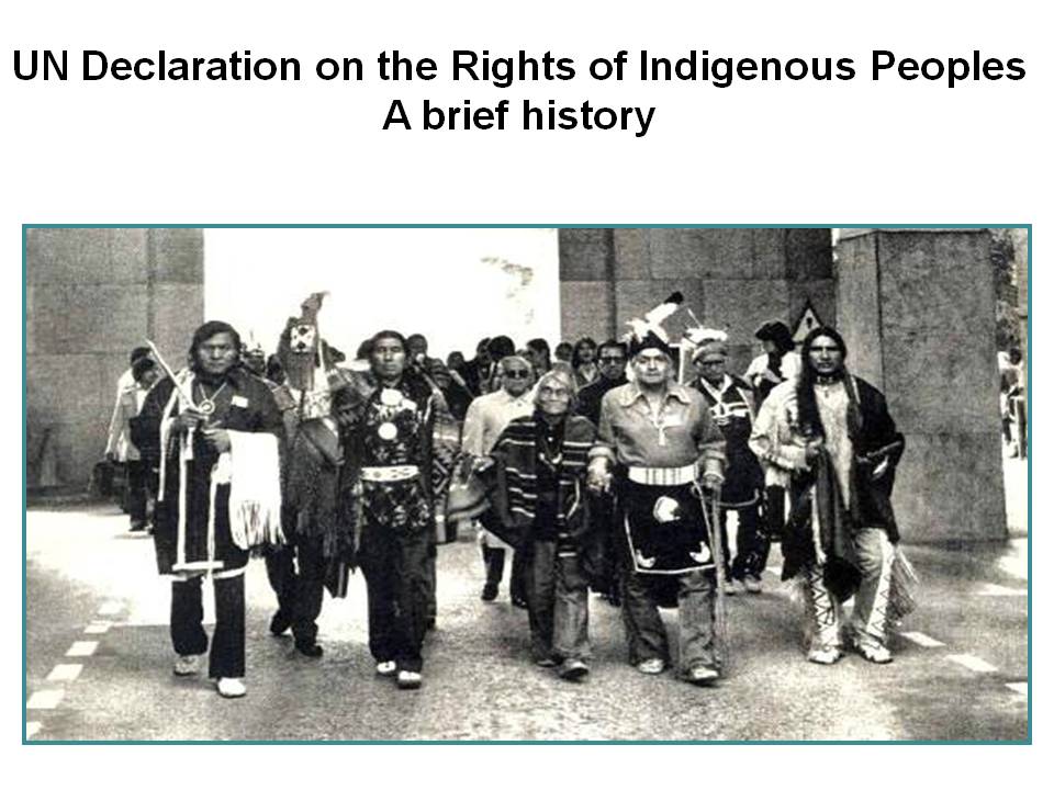UN Declaration on the Rights of Indigenous Peoples – A brief history ...